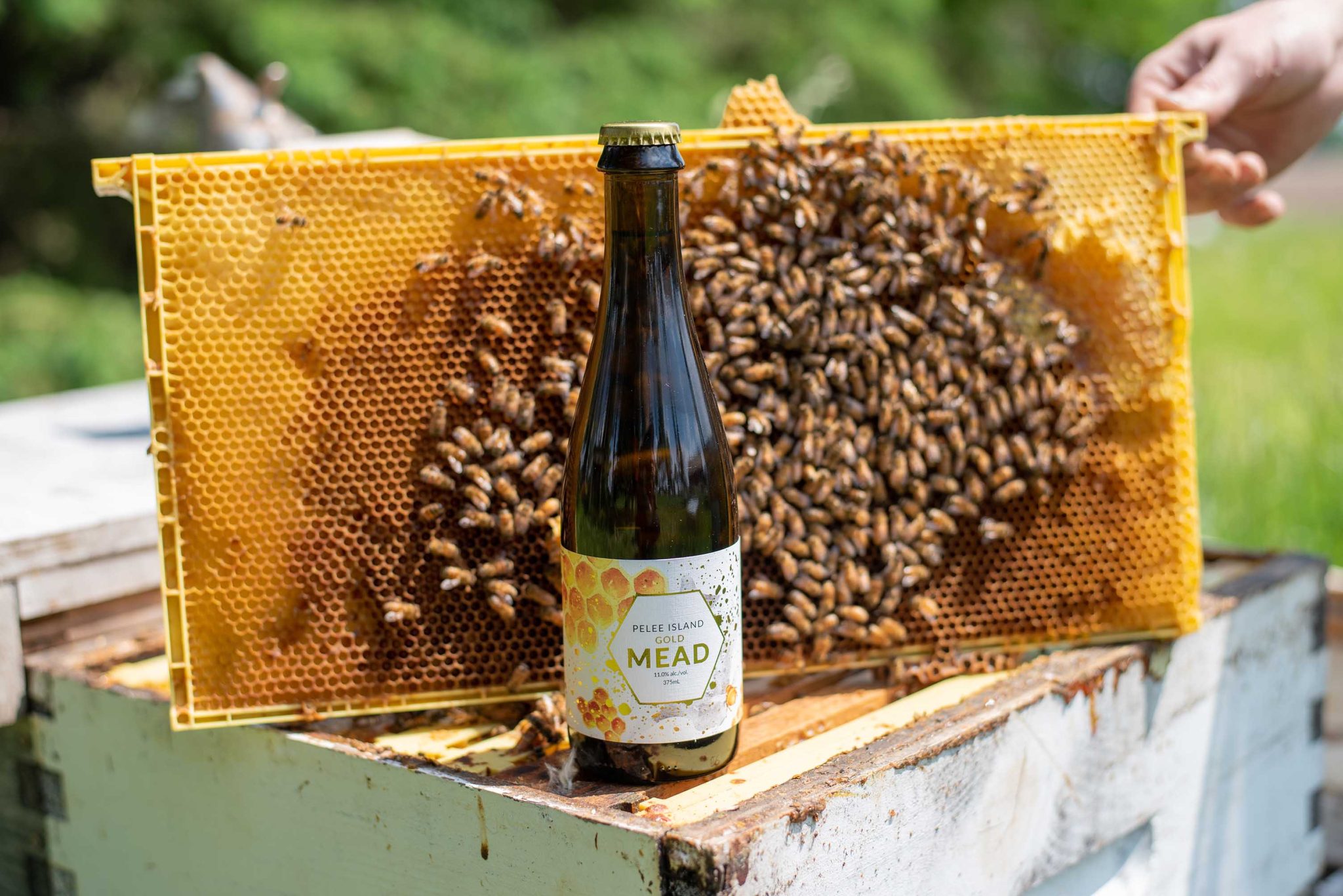 HEEMAN’S Your Local Connection to Flowers, Flavour & Fun – London's ...
